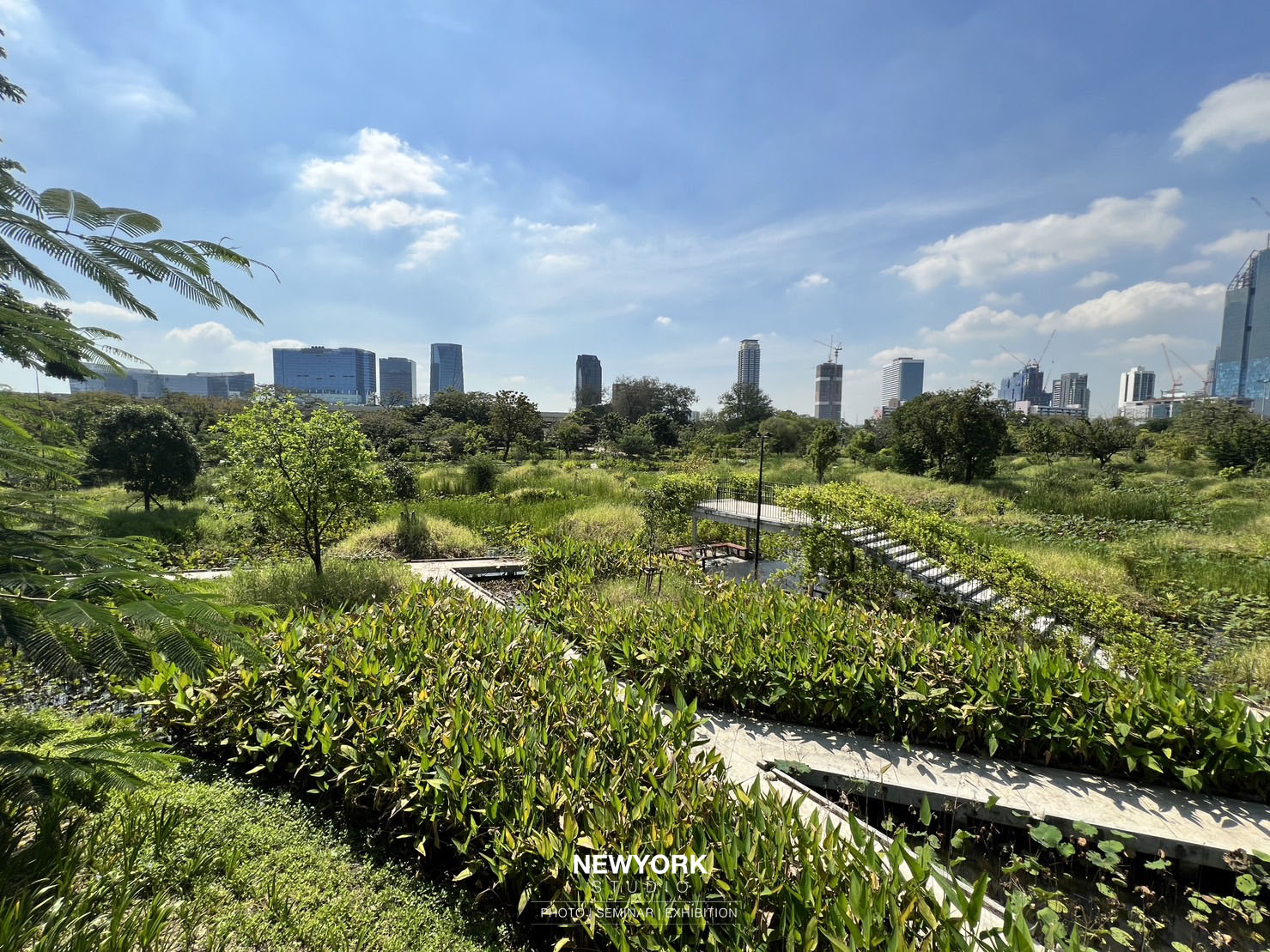 Park For Kids and Family สวนสาธารณะสำหรับเด็ก และครอบครัว กรุงเทพ